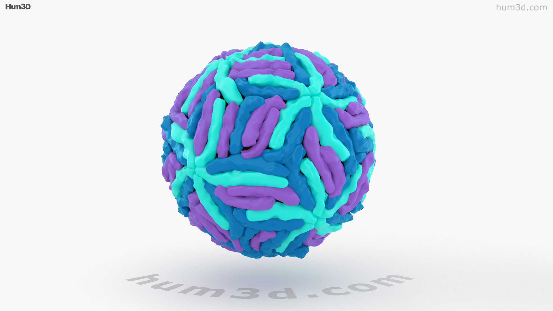 360 view of Dengue Virus 3D model - 3DModels store