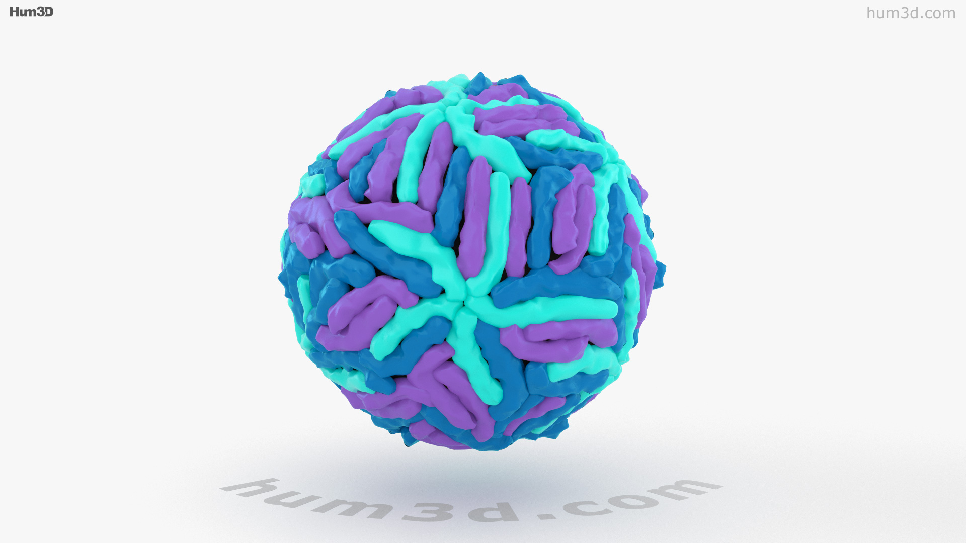 360 view of Dengue Virus 3D model - 3DModels store