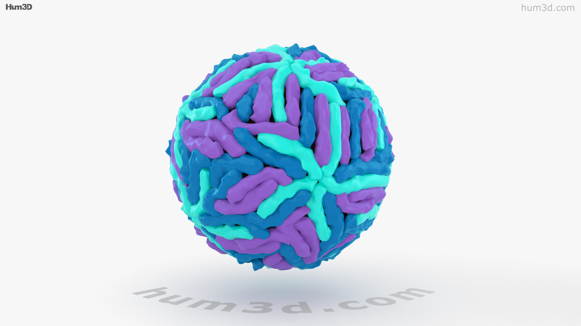 360 view of Dengue Virus 3D model - 3DModels store