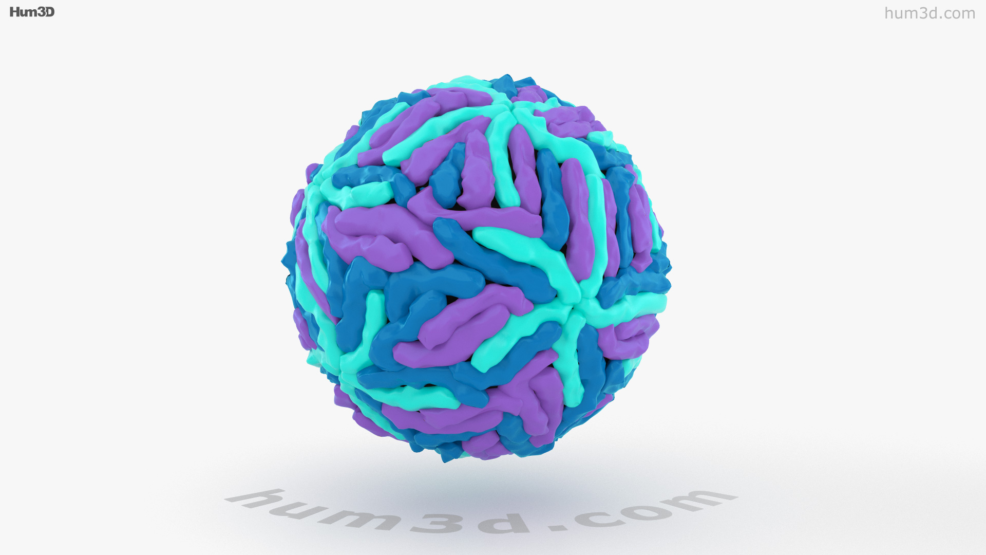 360 view of Dengue Virus 3D model - 3DModels store