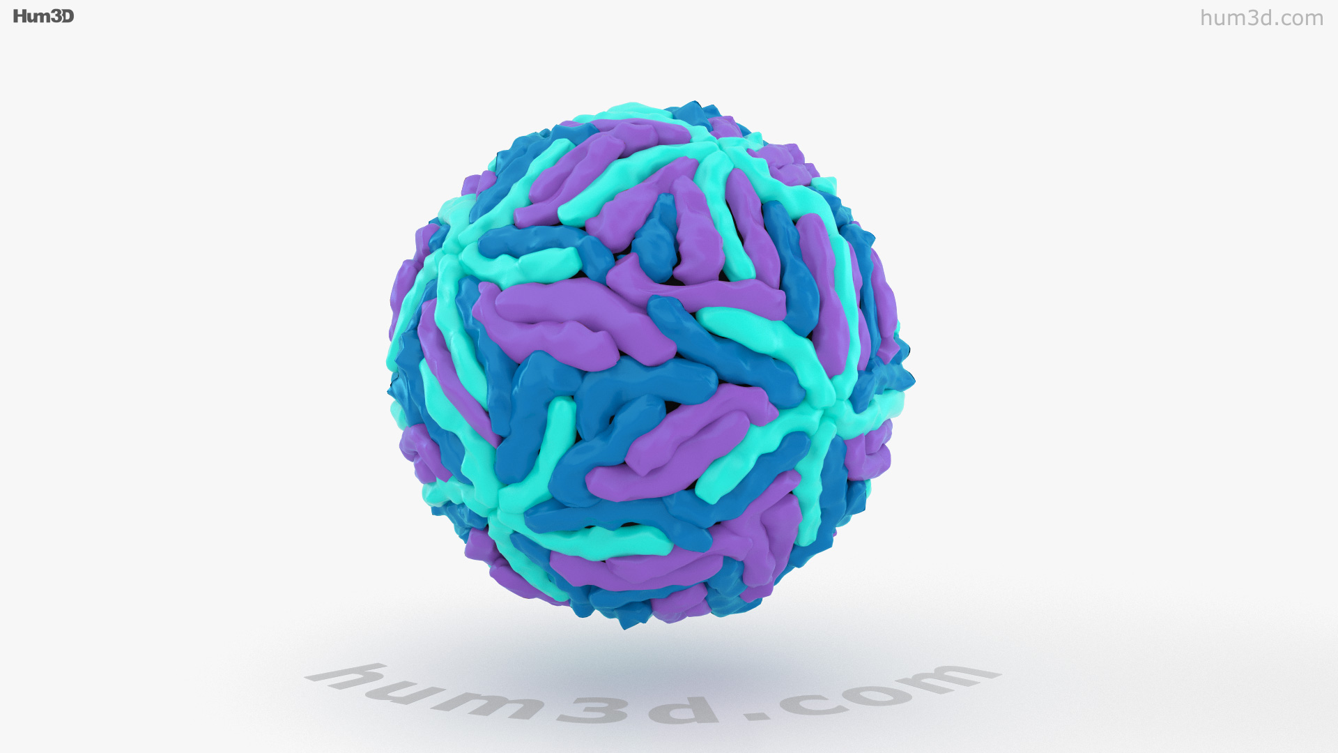 360 view of Dengue Virus 3D model - 3DModels store