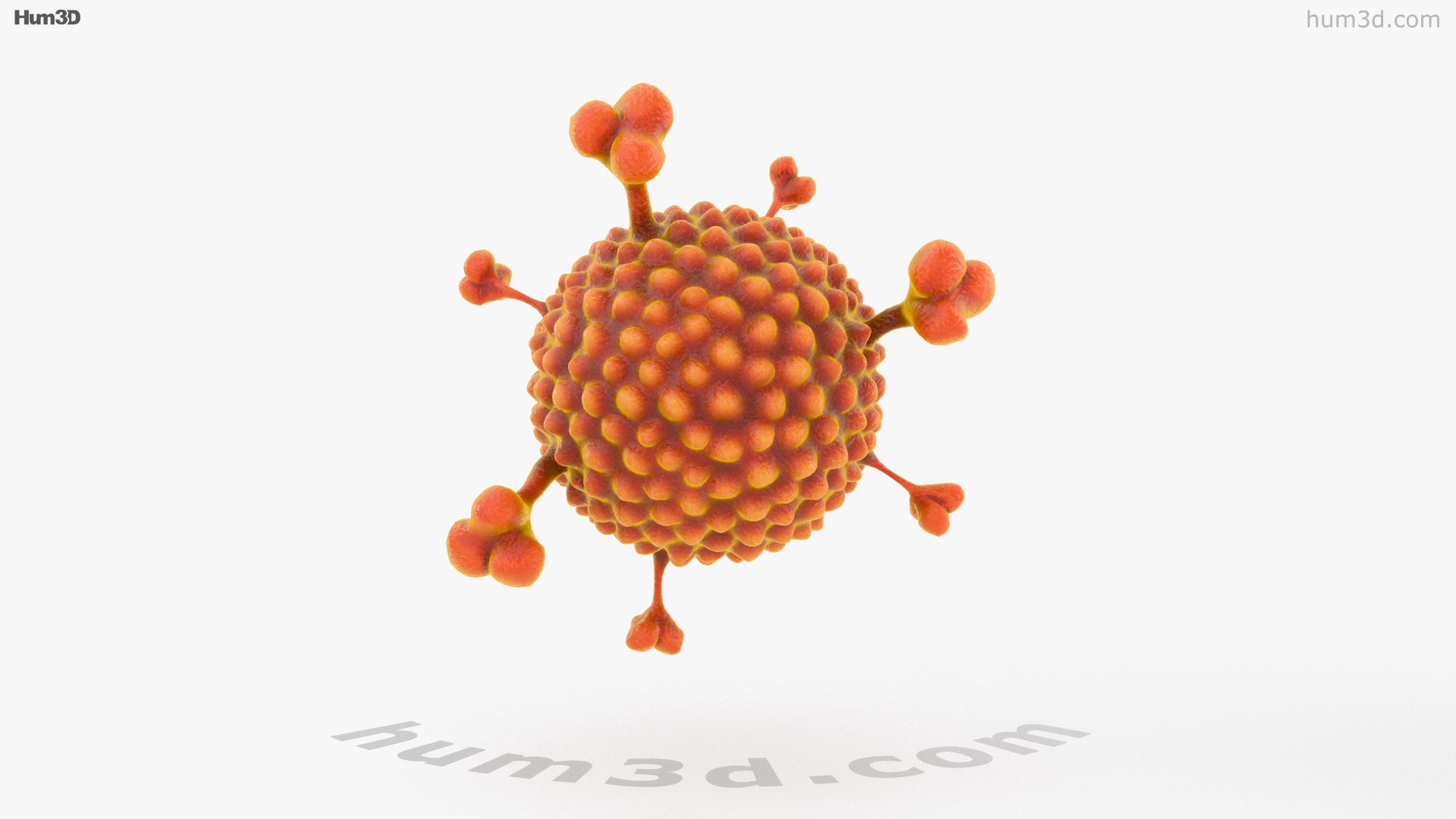 360 view of Adenovirus 3D model - 3DModels store