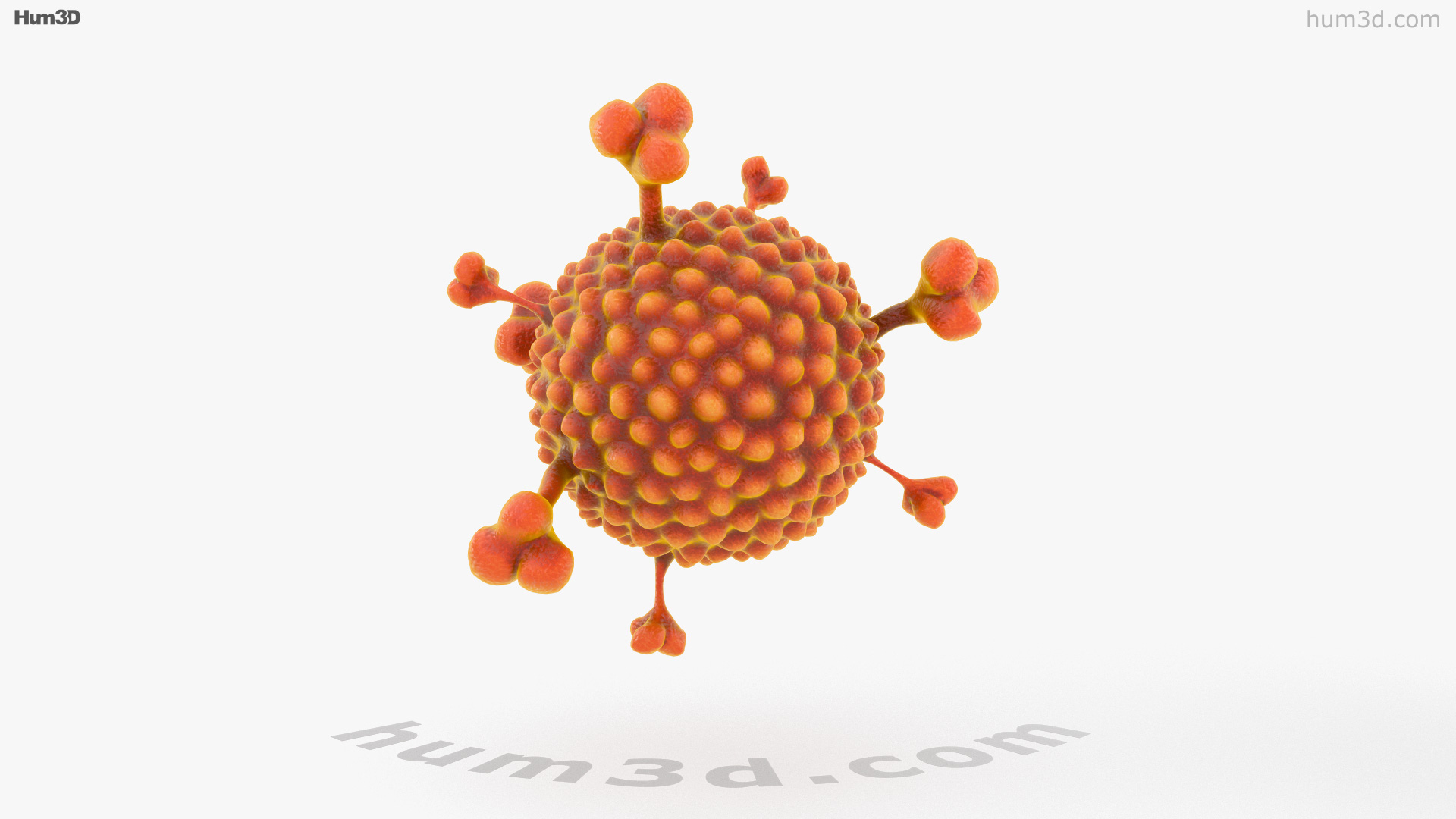 360 view of Adenovirus 3D model - 3DModels store