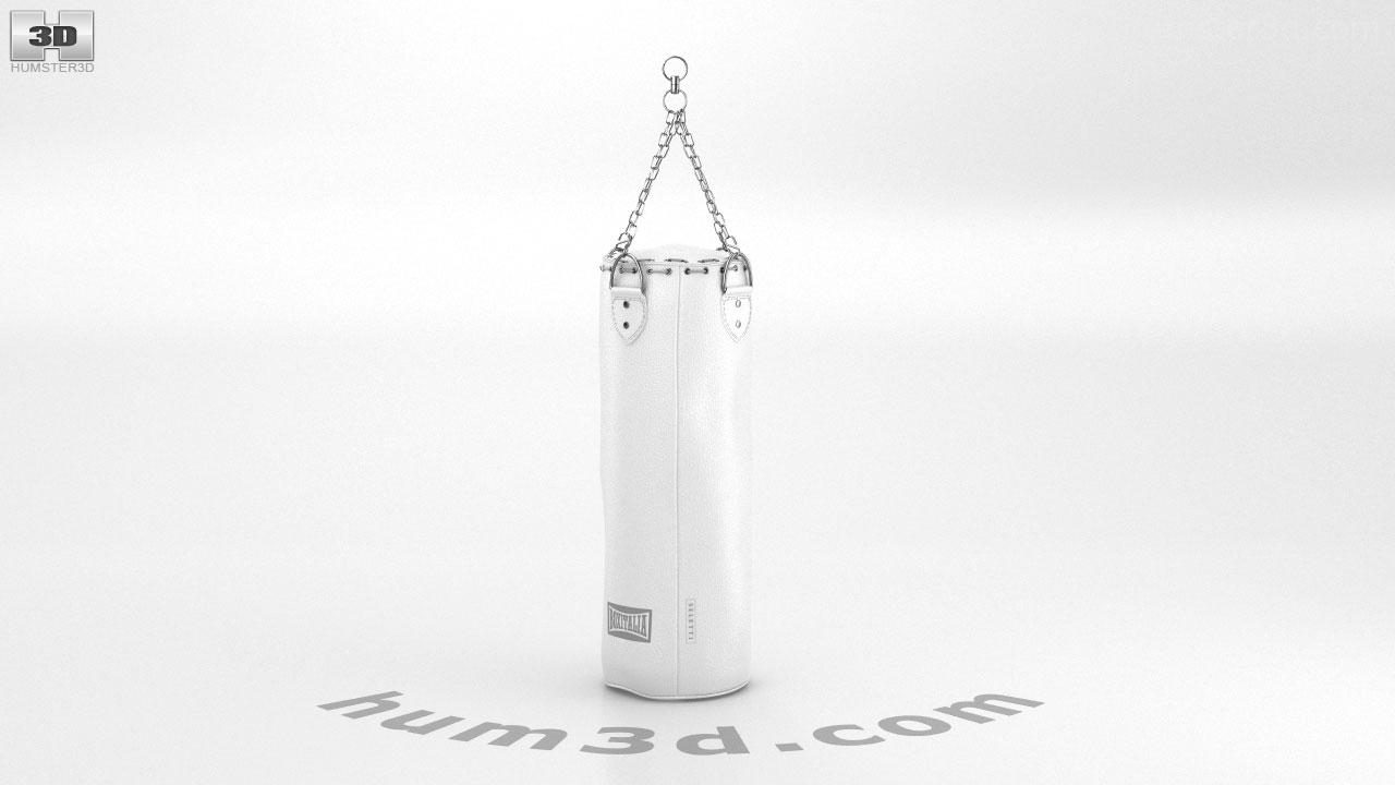360 view of Punching Bag 3D model - 3DModels store