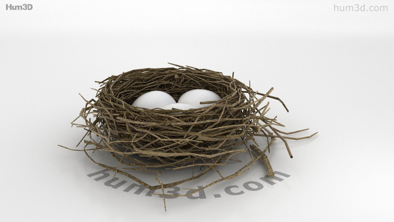 360 view of Bird Nest 3D model - 3DModels store