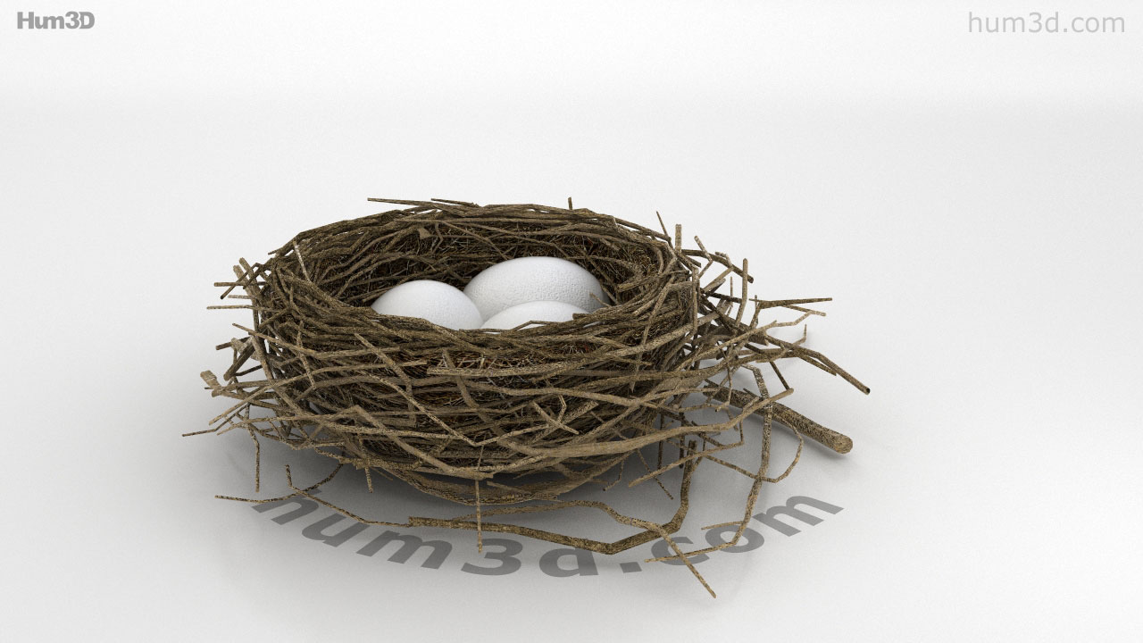 360 view of Bird Nest 3D model - 3DModels store