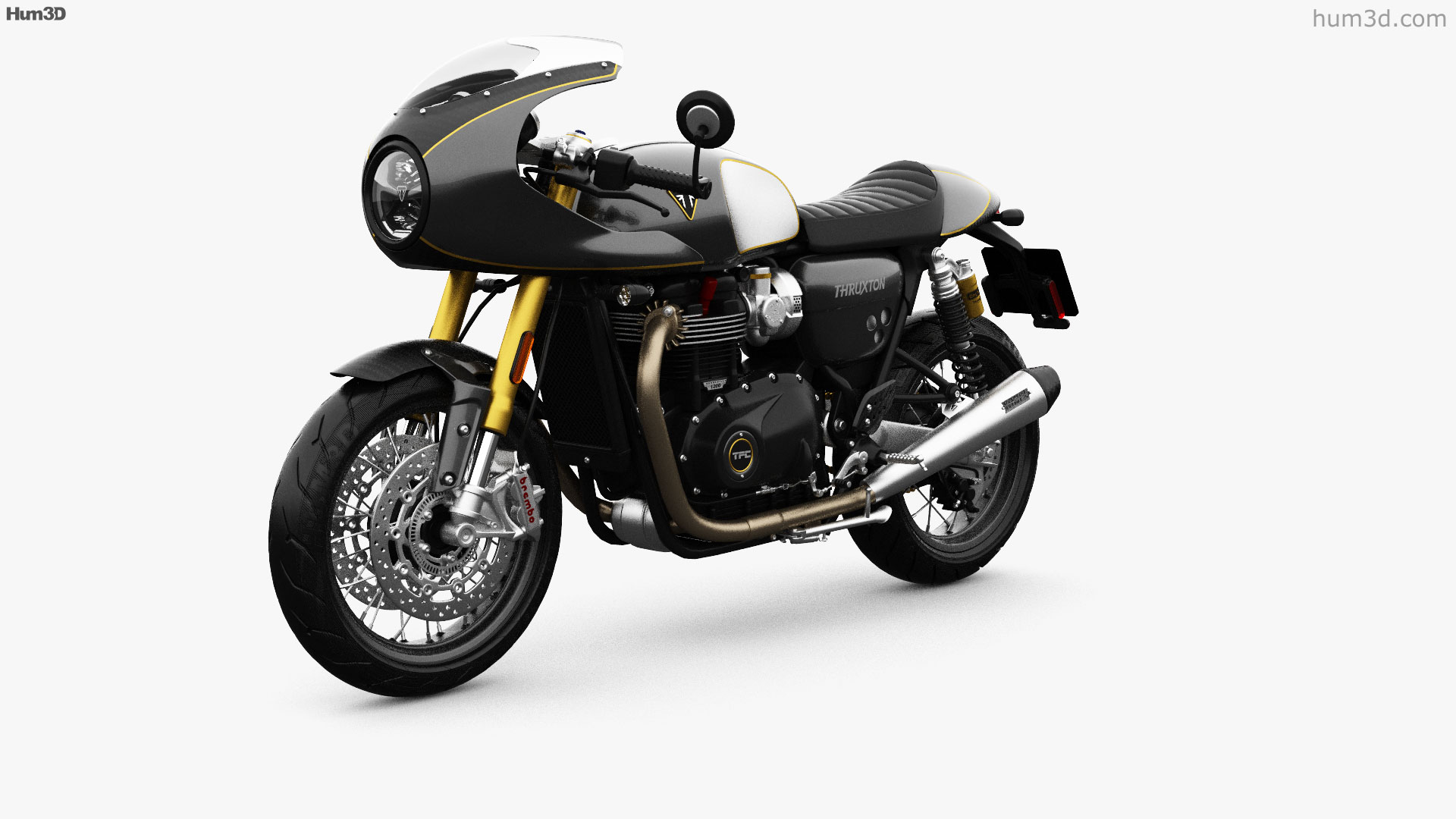 360 view of Triumph Thruxton TFC 2024 3D model - 3DModels store