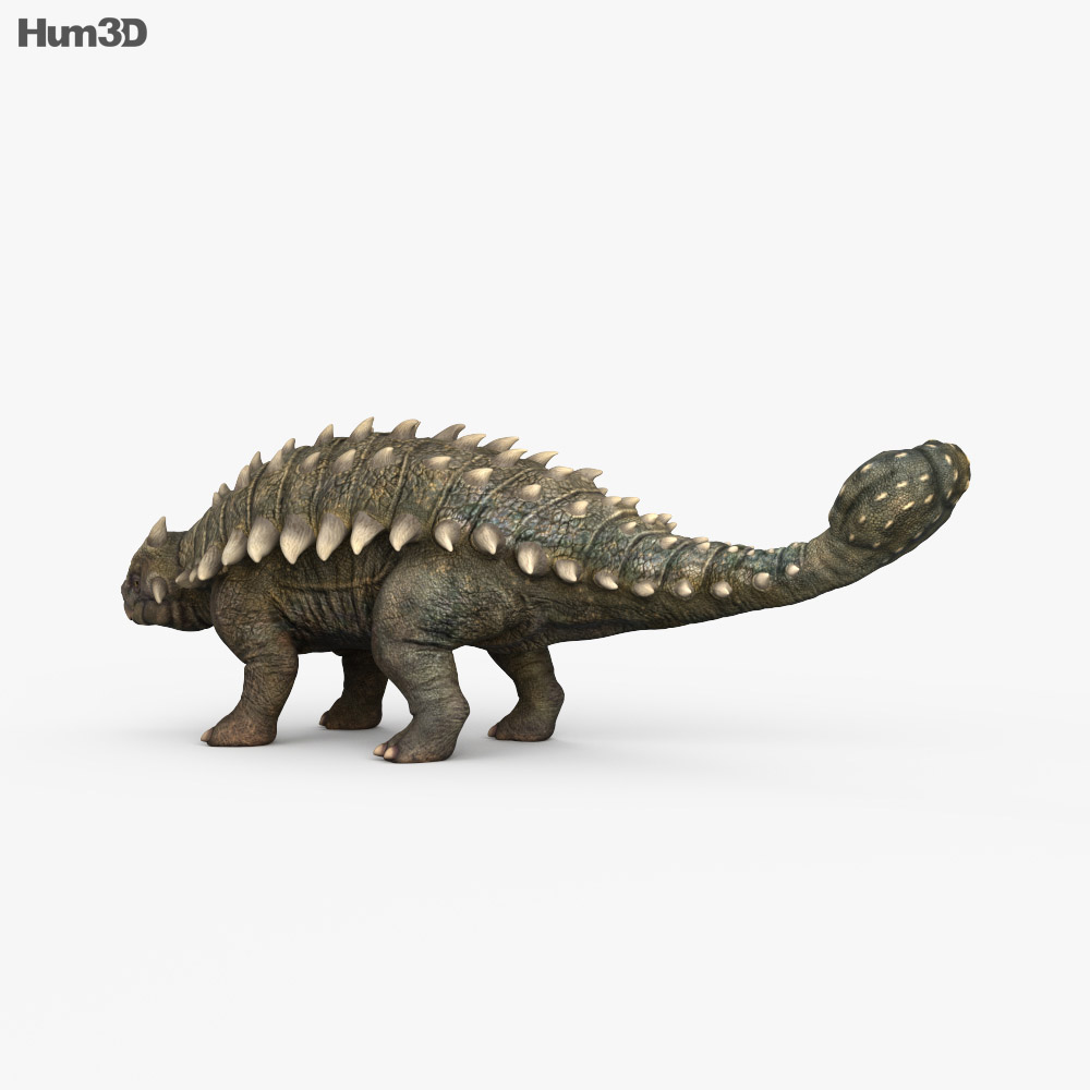 Animated Ankylosaurus 3D model - Download Dinosaur on 3DModels.org