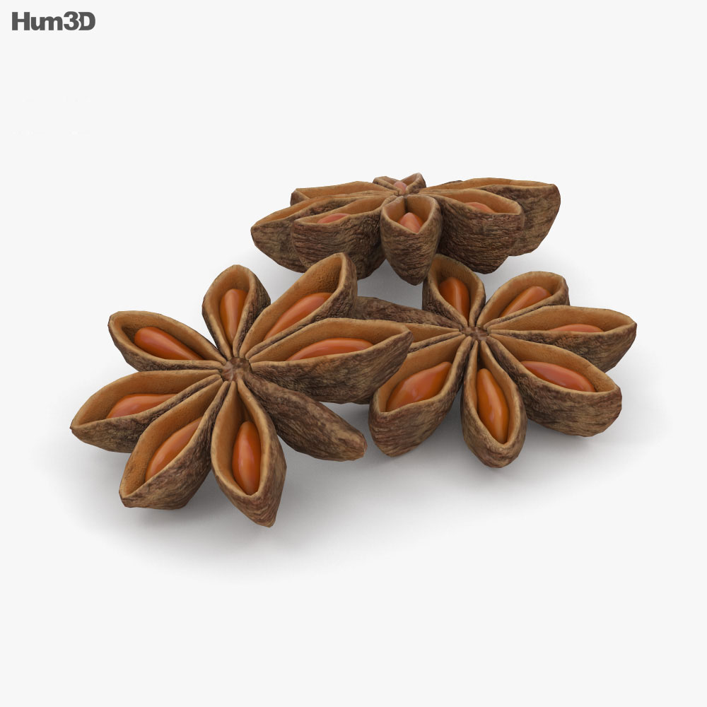 Anís Modelo 3D - Descargar Hierbas on 3DModels.org