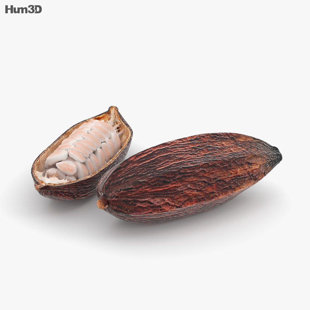 Cocoa Pod 3D model - Download Farm Crops on 3DModels.org