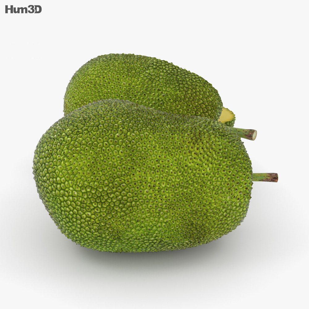 Jackfruit 3D model - Download Fruit on 3DModels.org
