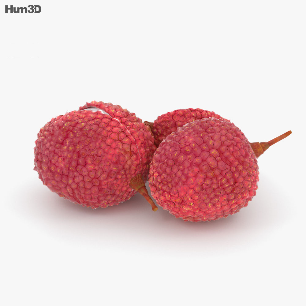 Lychee 3D model - Download Fruit on 3DModels.org