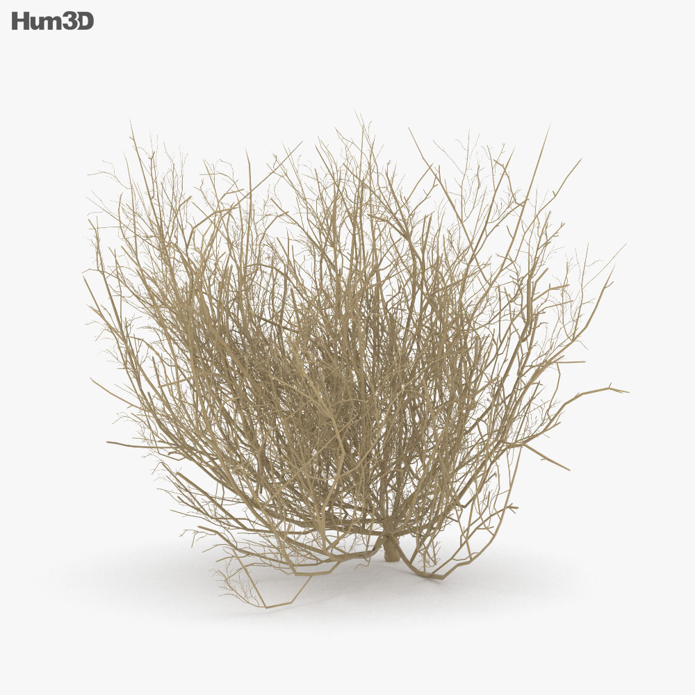 Tumbleweed 3D model - Download Grass on 3DModels.org