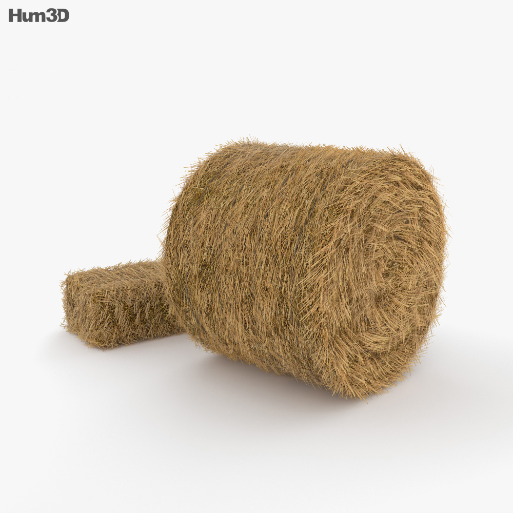 Hay Bale 3D model - Download Grass on 3DModels.org